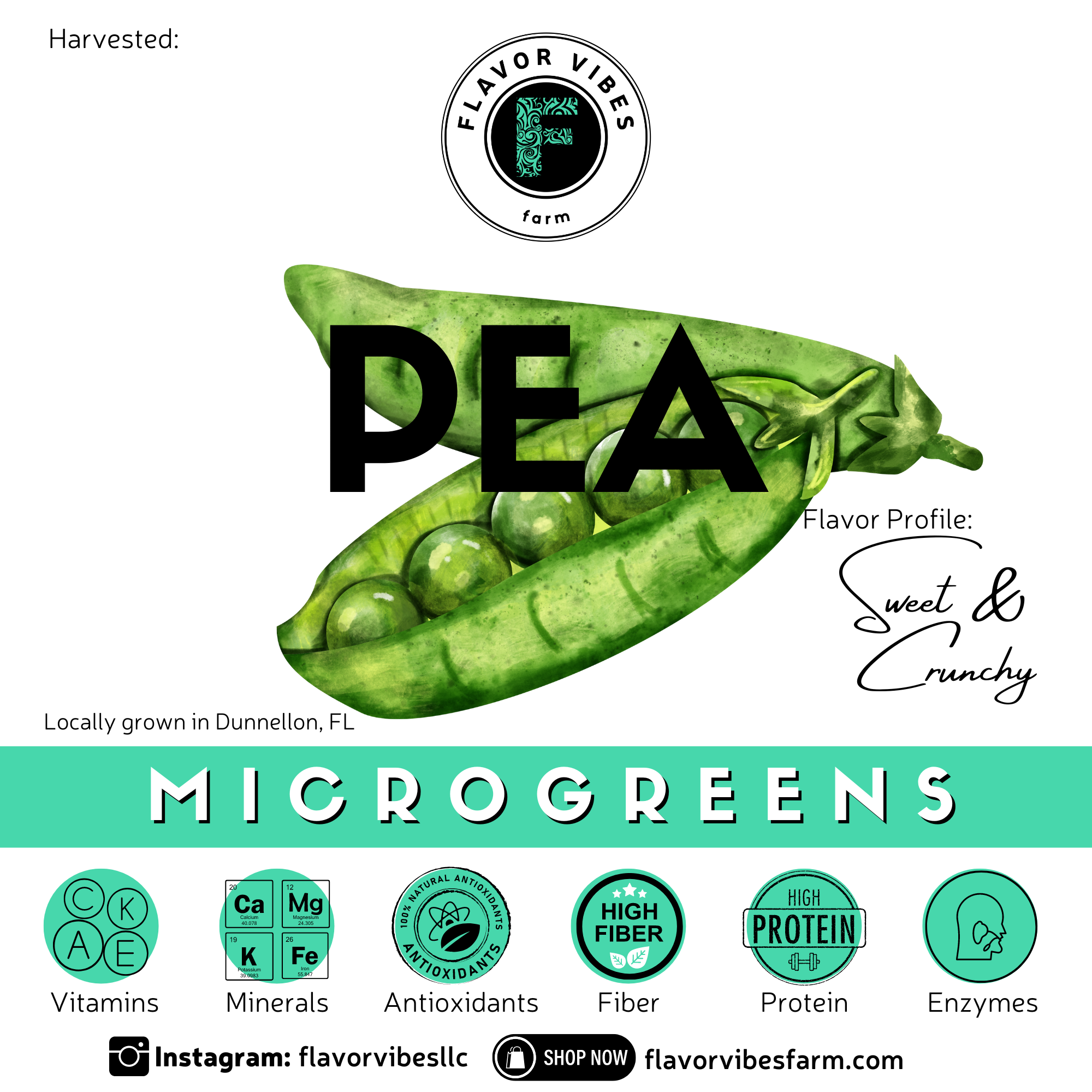 Pea | Flavor Vibes LLC